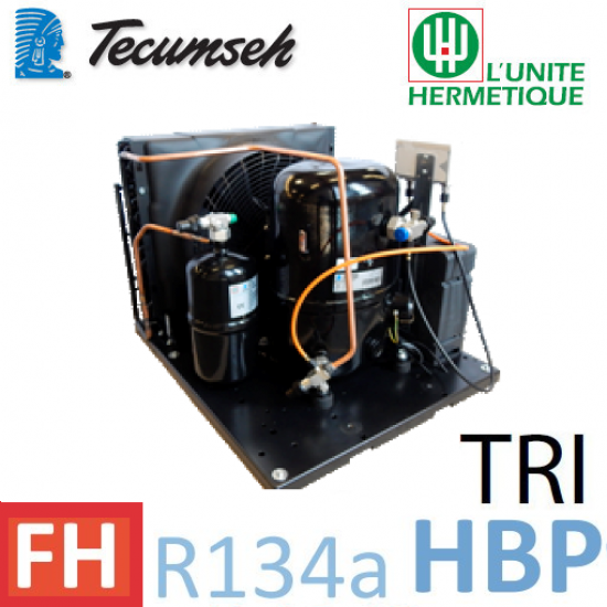 Groupe de condensation Tecumseh FHT4518YHR-XG - R-134a